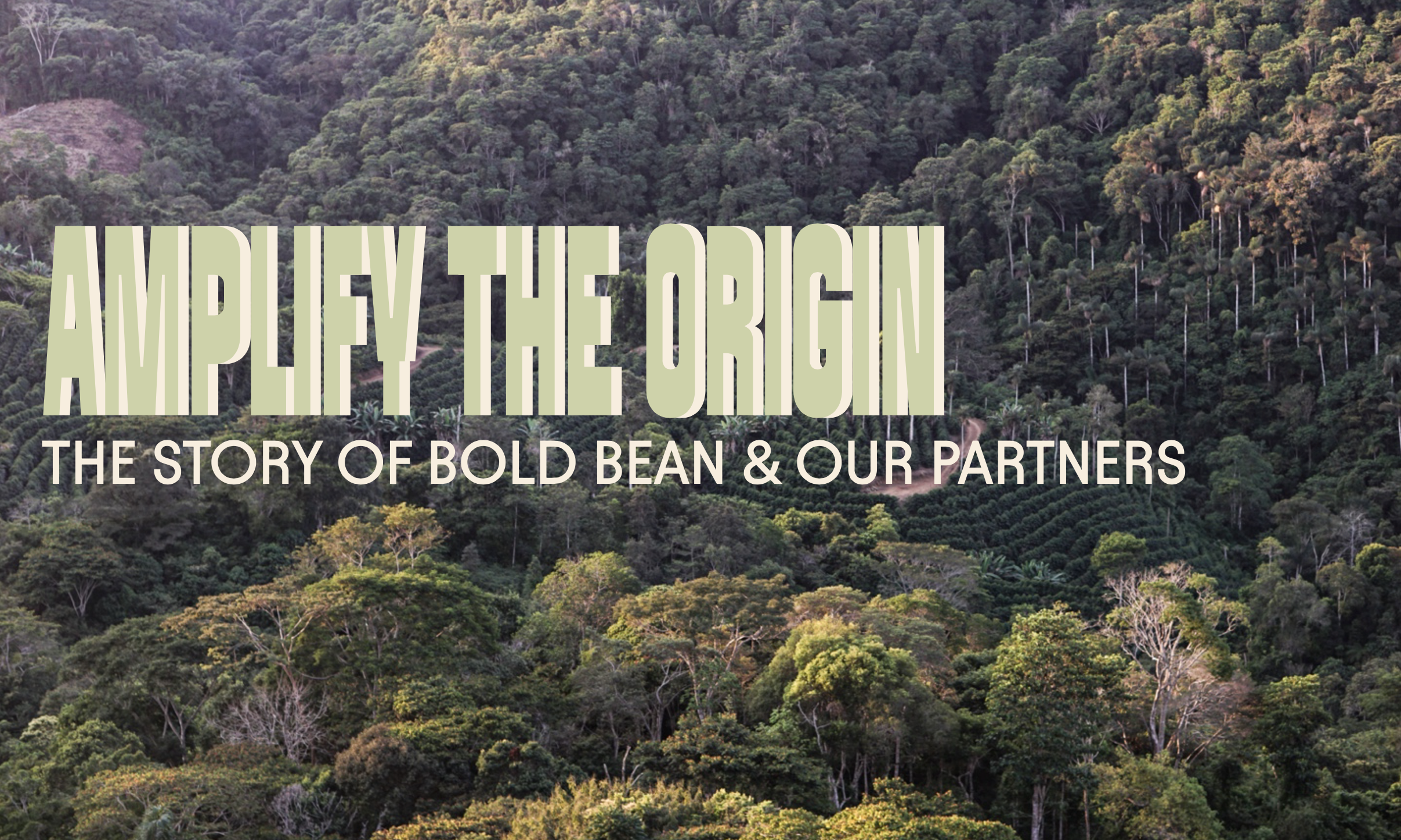 Bold Bean Coffee Roasters - Specialty Coffees for the Bold at Heart