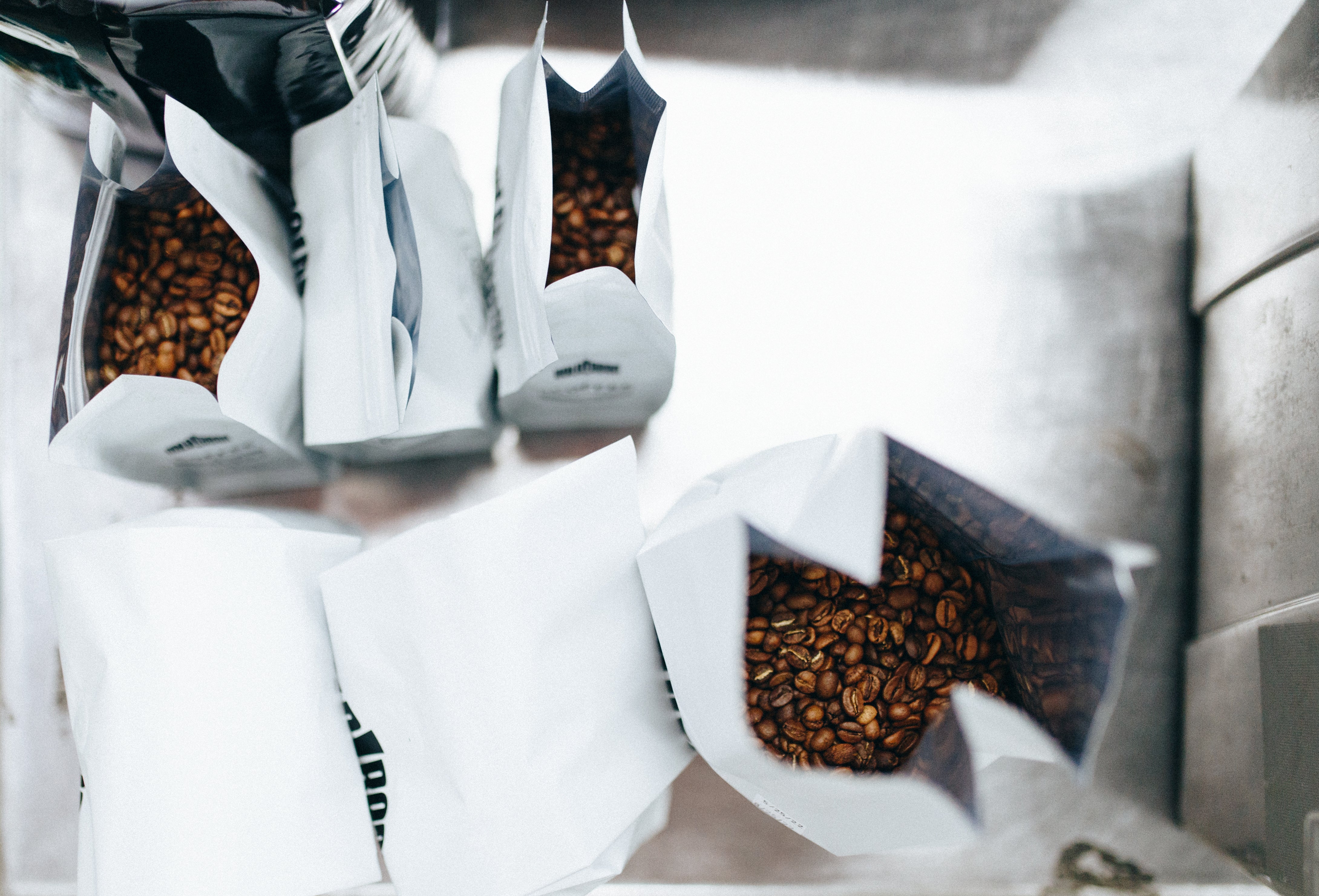 Shop – Bold Bean Coffee Roasters