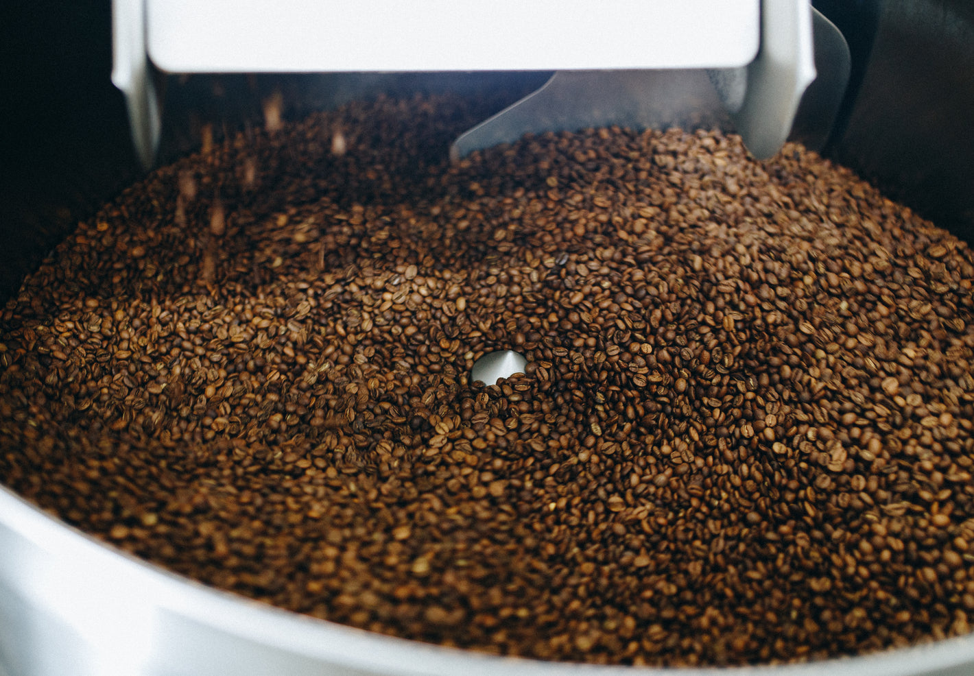 Shop – Bold Bean Coffee Roasters